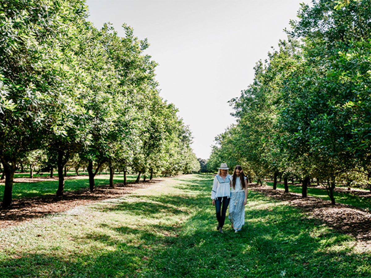 Our Story | Avilla Farm - Avilla Farm